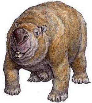 Das Urzeitwesen Diprotodon könnte der Bunyip gewesen sein